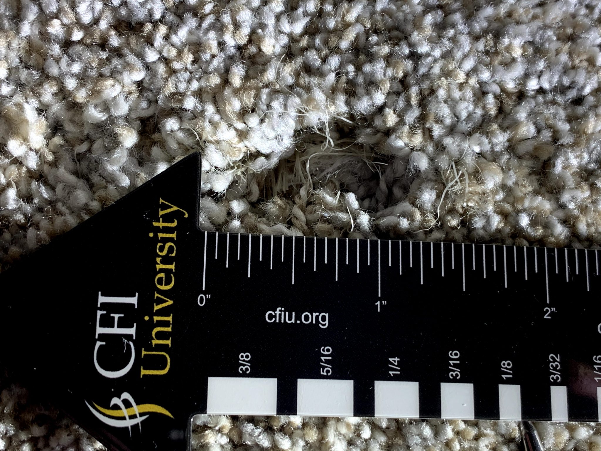 CFI University Carpet Inspector’s Certification Class August 27-29, 2020