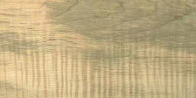 Re-Certification Exam – Certified Flooring Inspectors University